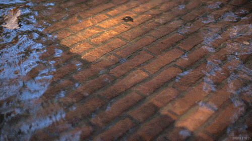 Water Perfect Loop GIF by Living Stills - Find & Share on GIPHY