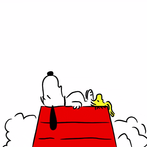 Peanuts GIF - Find & Share on GIPHY