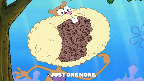 Episode 1 GIF by SpongeBob SquarePants - Find & Share on GIPHY