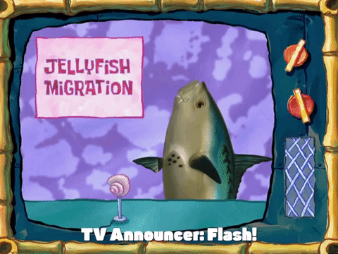 Spongebob Reporter Fish