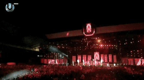 Ultra Music Festival GIF by Hardwell - Find & Share on GIPHY