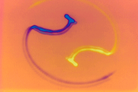 Signal Culture GIFs - Get the best GIF on GIPHY