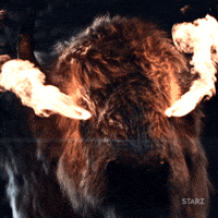 Bison Running Gif