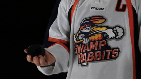 Hockey Puck GIF by Greenville Swamp Rabbits - Find & Share on GIPHY