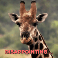 Deer Eating Popcorn Gif