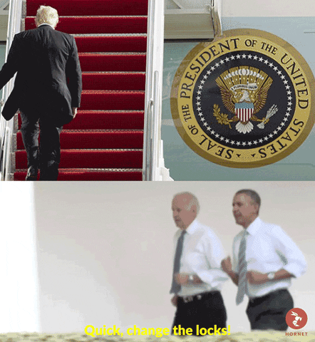 Trump Airplane GIFs - Get the best GIF on GIPHY