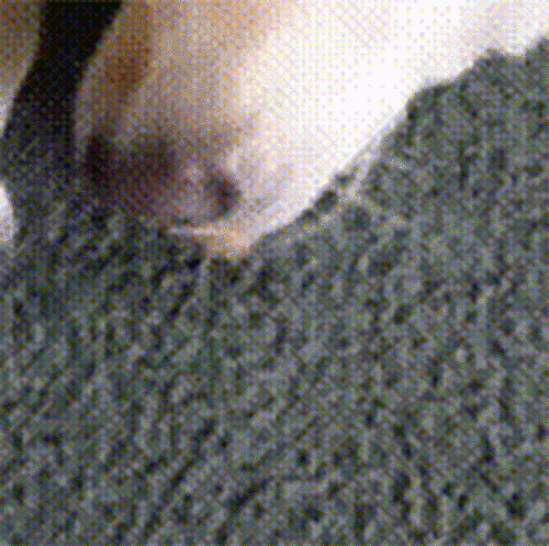 Dont Eat That GIFs - Get the best GIF on GIPHY