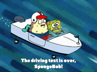 Spongebob Test Gif