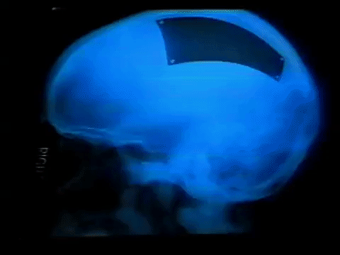 Moms Plate GIFs - Get the best GIF on GIPHY