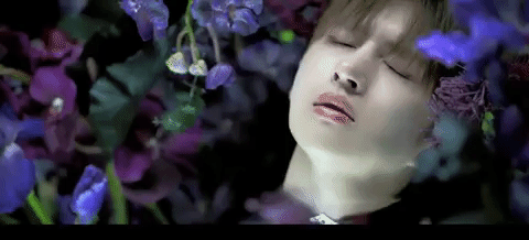 Vixx N Hyde Gif