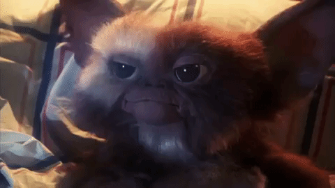 Christmas Movies Gremlins GIF - Find & Share on GIPHY