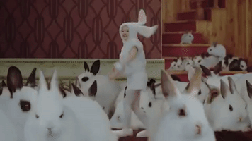 Rabbit Run GIFs - Find & Share on GIPHY