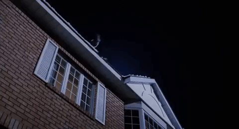 Santa Roof GIFs - Get the best GIF on GIPHY