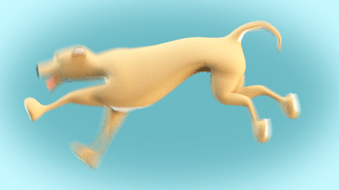 Running Corgi Gif
