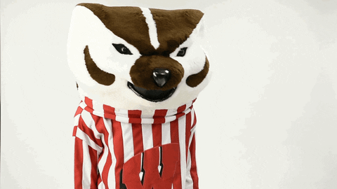 Wisconsin Badgers GIF by uwmadison - Find & Share on GIPHY
