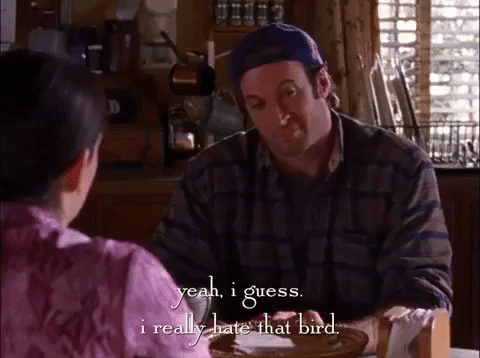 Yeah I Guess Gif