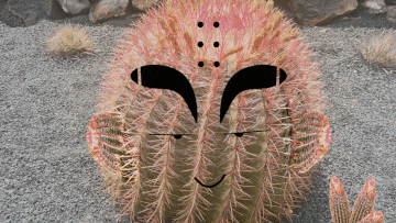 Cactus GIF by mannyjammy - Find & Share on GIPHY
