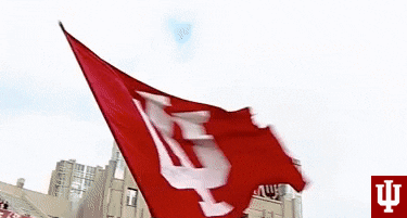 Indiana-flag GIFs - Get the best GIF on GIPHY