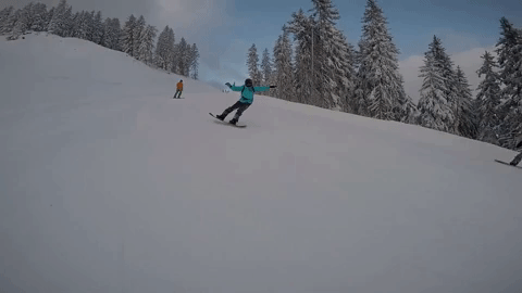 Snow Snowboarding GIF - Find & Share on GIPHY