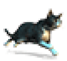 Cat Sticker By Emailsticker for iOS & Android | GIPHY