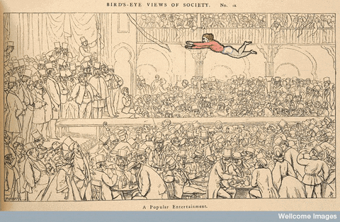 Richard Doyle GIFs - Get the best GIF on GIPHY