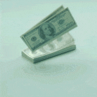 Yate GIFs - Find & Share on GIPHY