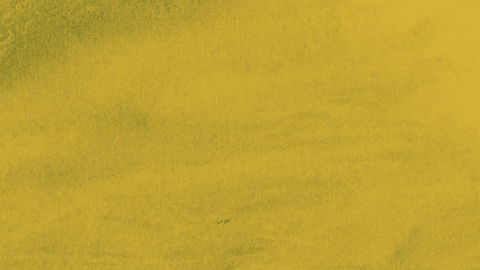 Rewire GIFs - Get the best GIF on GIPHY