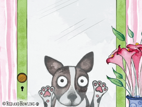 Dog Hello GIF by Red & Howling - Find & Share on GIPHY