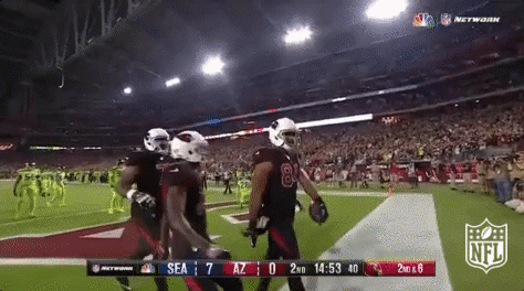 Arizona Cardinals Football GIF by NFL - Find & Share on GIPHY