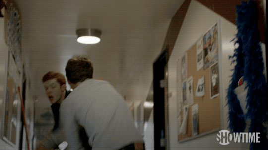Season 6 Fighting GIF by Shameless - Find & Share on GIPHY