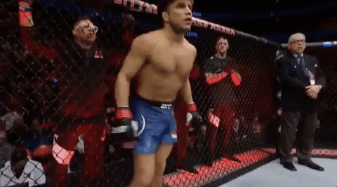 Mma Ufc218 GIF by UFC - Find & Share on GIPHY