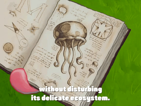 Delicate-ecosystems GIFs - Get the best GIF on GIPHY