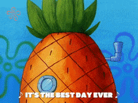Spongebob Best Day Ever Gif