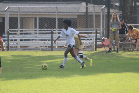 D3 Soccer GIFs - Get the best GIF on GIPHY