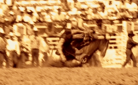 Horsepower GIF by Chris LeDoux - Find & Share on GIPHY