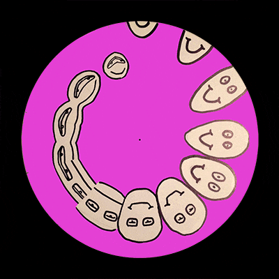 Disk GIFs - Get the best GIF on GIPHY