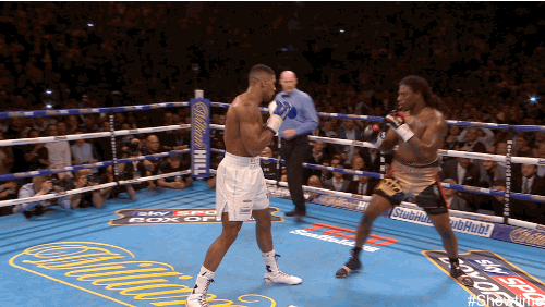 Joshua Breazeale GIF by SHOWTIME Sports - Find & Share on GIPHY