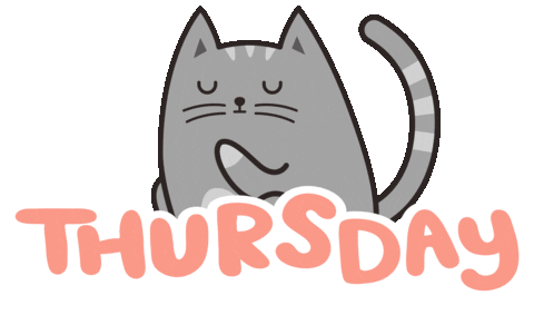 Happy Thursday Cat
