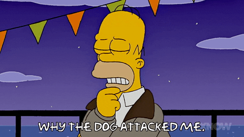 Dog-attacks GIFs - Get the best GIF on GIPHY