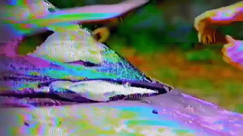 Frameworks GIF by Topshelf Records - Find & Share on GIPHY