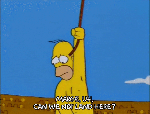 No Land GIFs - Get the best GIF on GIPHY