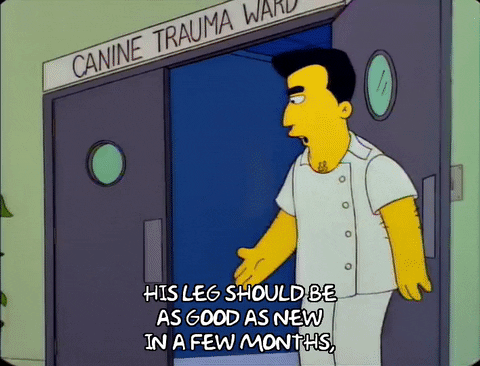 World Veterinary Day GIFs - Get the best GIF on GIPHY