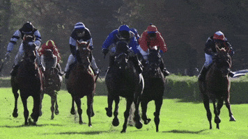 Horse Racing GIFs - Find & Share on GIPHY