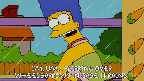 Flipped-over GIFs - Get the best GIF on GIPHY