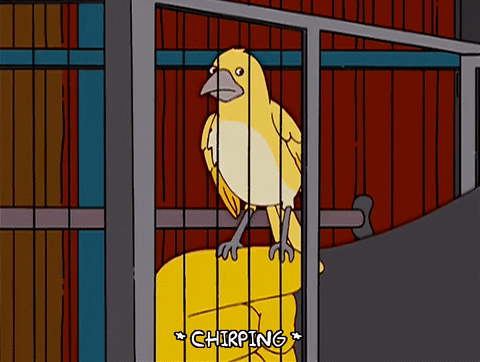 Bird On A Finger GIFs - Get the best GIF on GIPHY