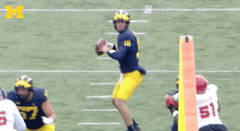 Michigan-wolverines GIFs - Get the best GIF on GIPHY