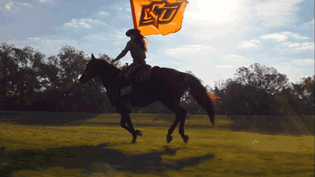 Horse Touchdown GIF by Oklahoma State University - Find & Share on GIPHY