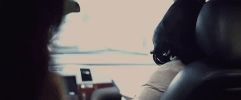 Emily Lynn Design GIFs - Get the best GIF on GIPHY