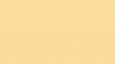 Finding Your Roots GIFs - Get the best GIF on GIPHY