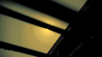 First Preview GIFs - Find & Share on GIPHY